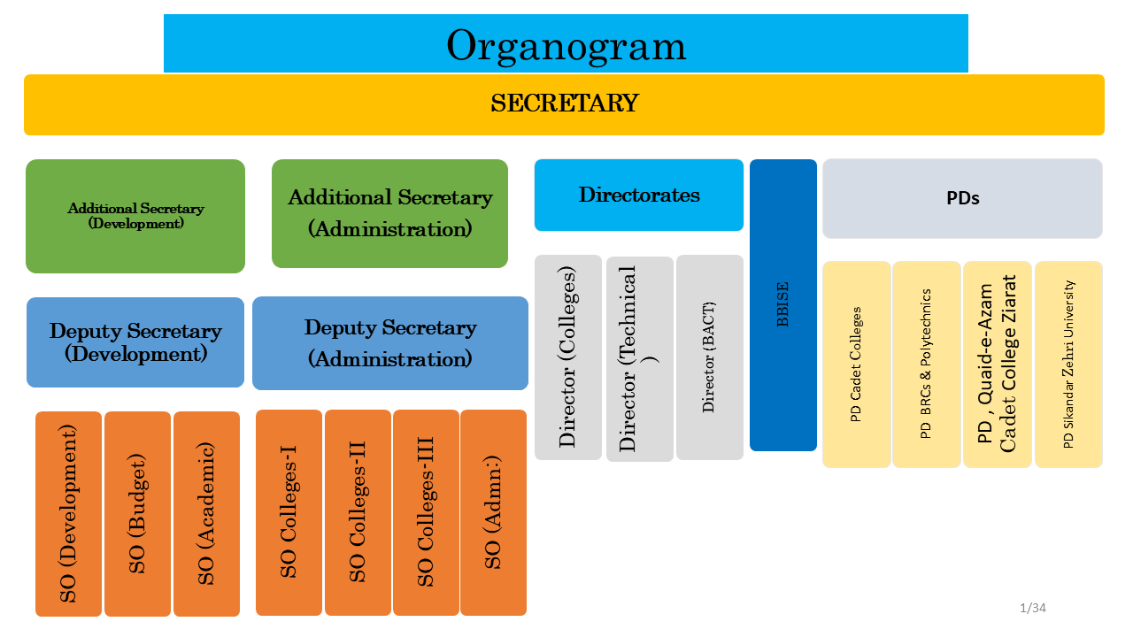 Organogram – Colleges, Higher and Technical Education Department